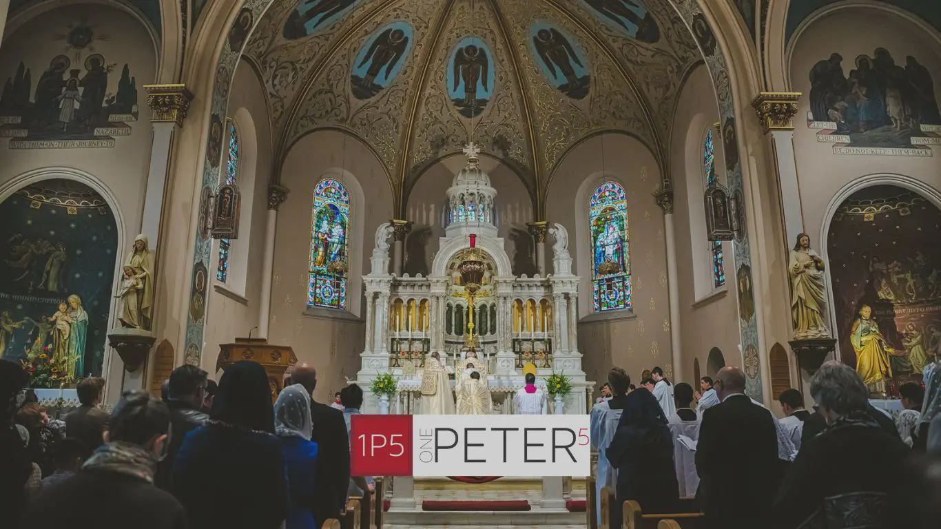 Mass of the Ages Statement on Fr. Jackson > Immaculata South Africa